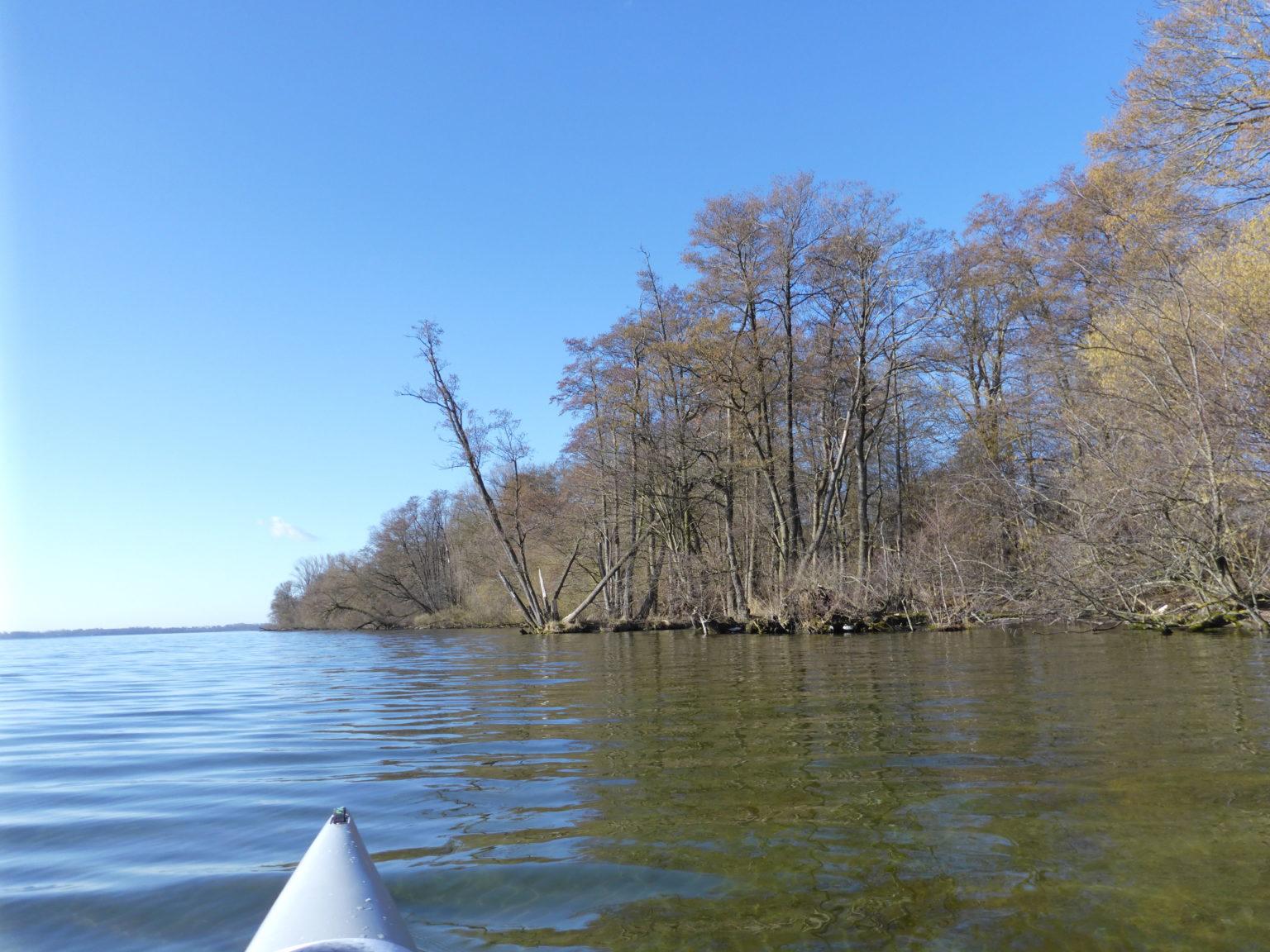Paddeln auf Schweriner Außensee um die Insel Lieps zum Ramper Moor und ...